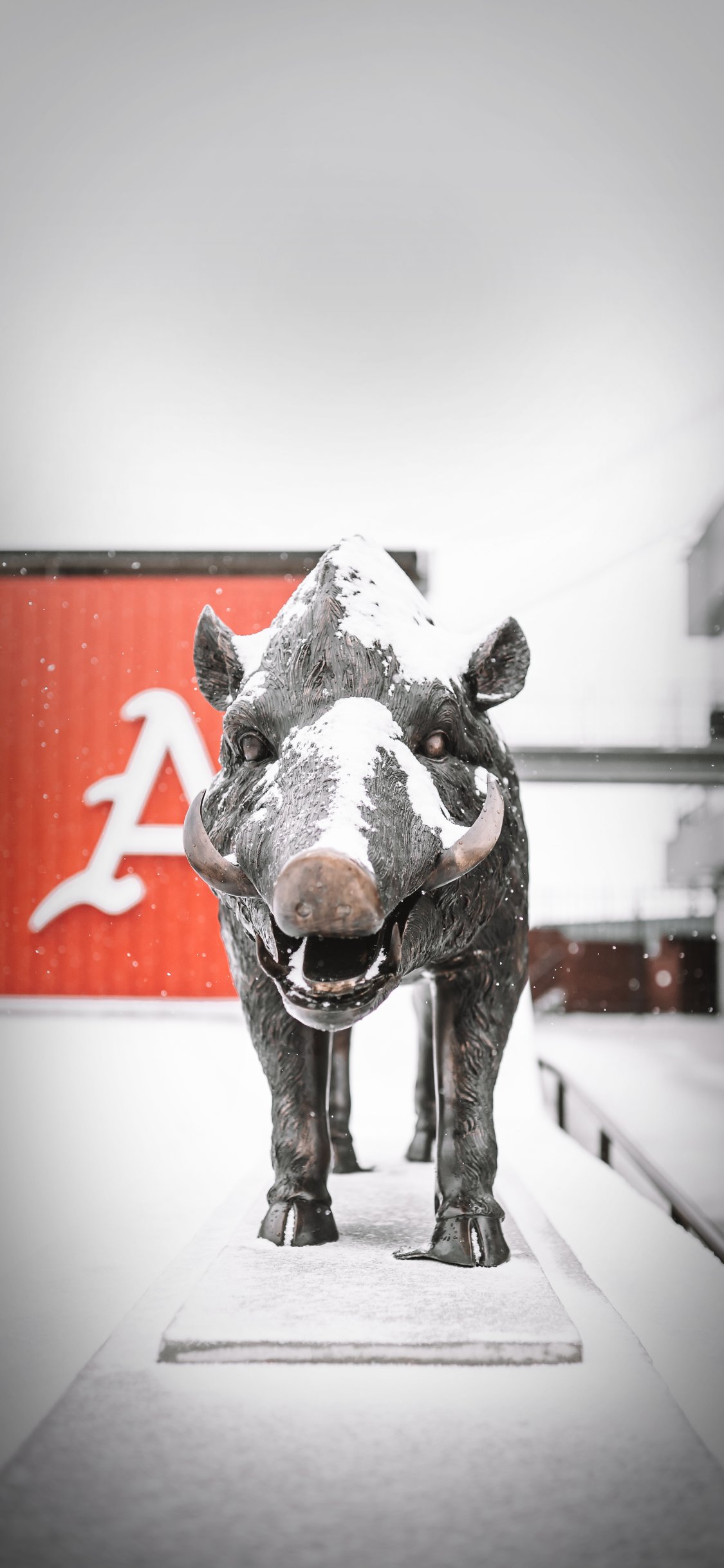 Jaden Bryant (@jadenbryant_07) / Twitter