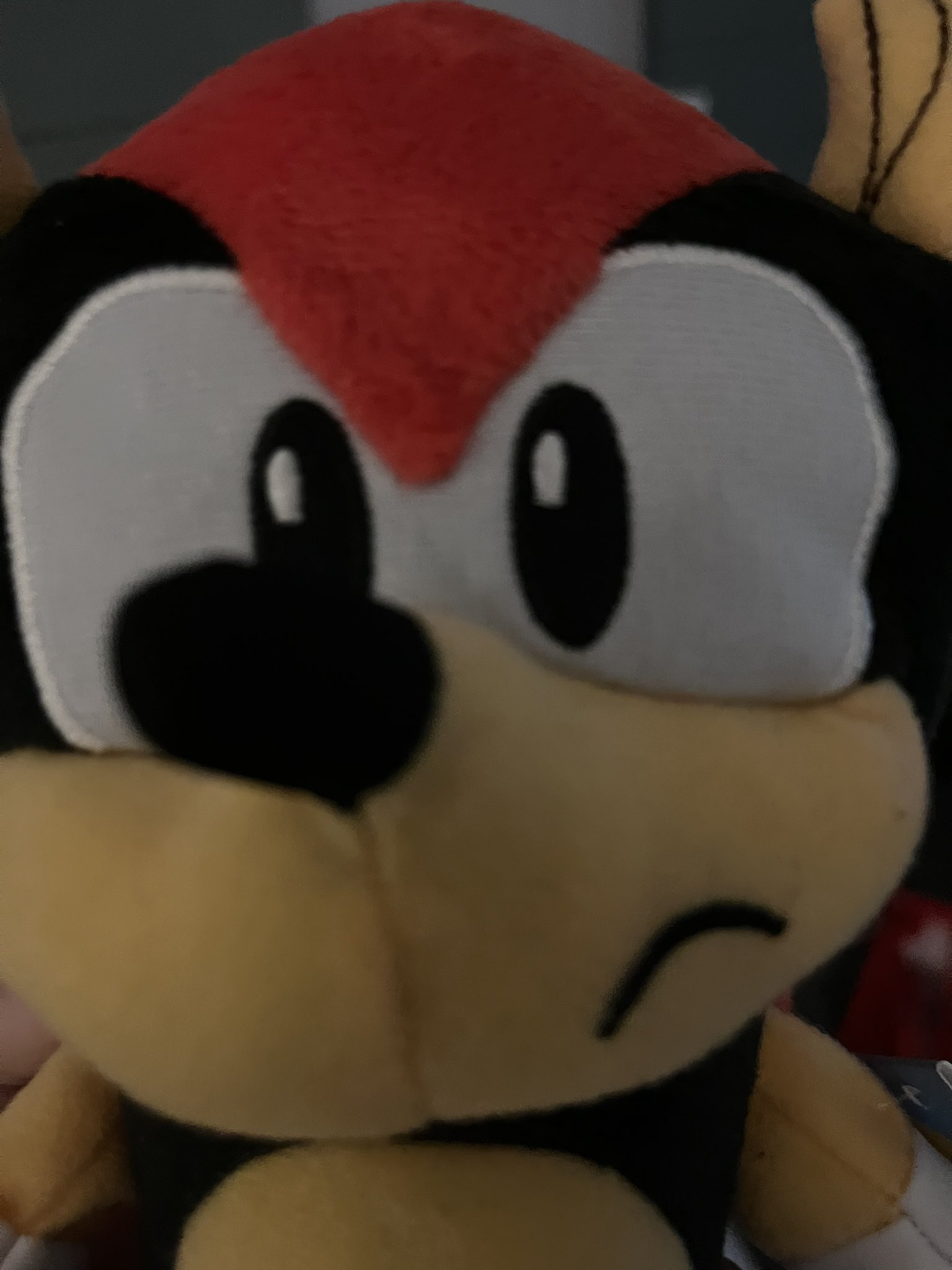 Shane (SAWhane) on Twitter: "Him https://t.co/wE5cwGDjub" / Twitter