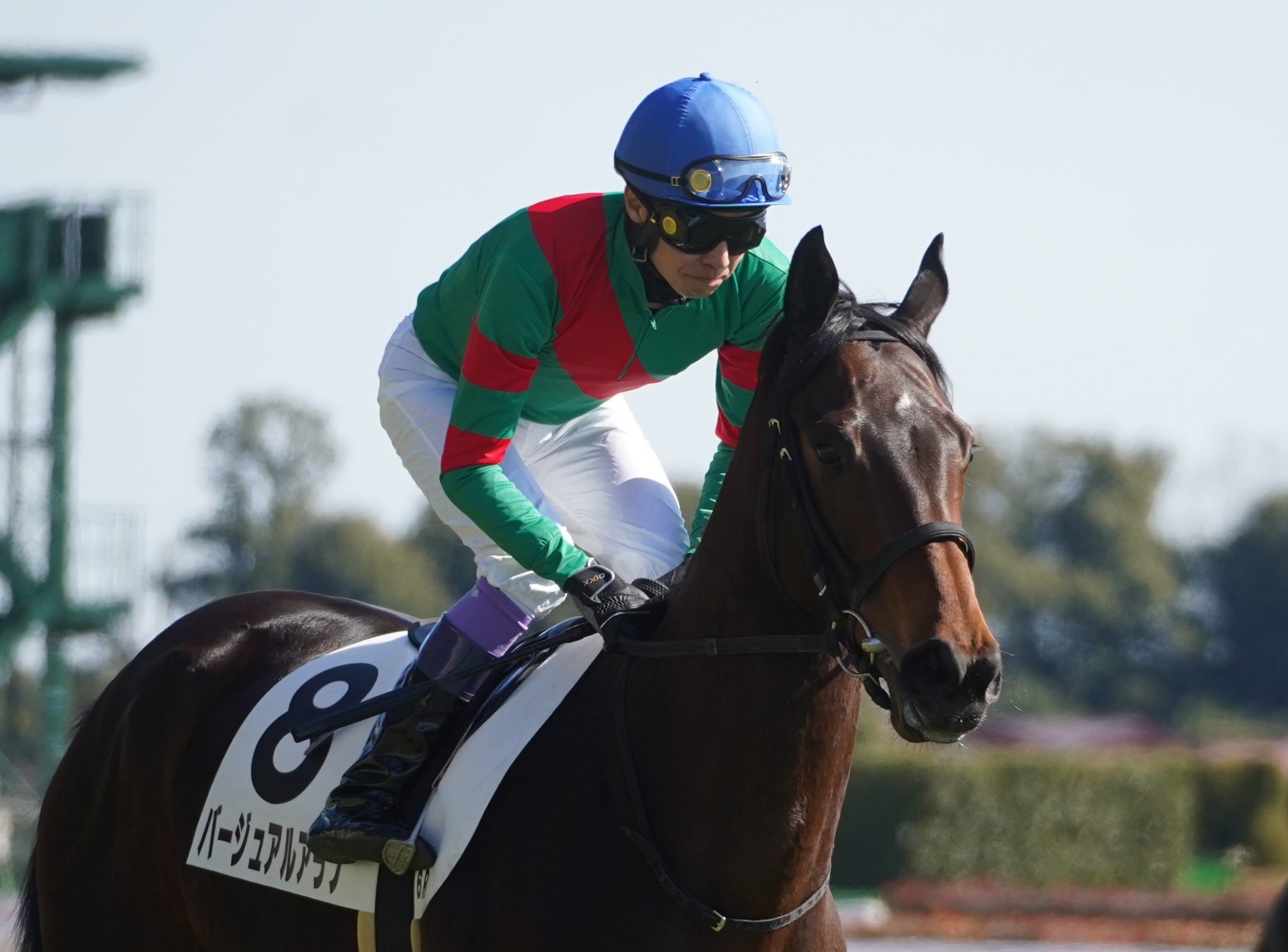 Satoshi Hiramatsu 平松さとし on Twitter: "JRA通算4400勝を達成した武豊騎手に、翌日の東京競馬場で「4400勝ジョッキーだ！」と声をかけると「いえ、 ですよ ...