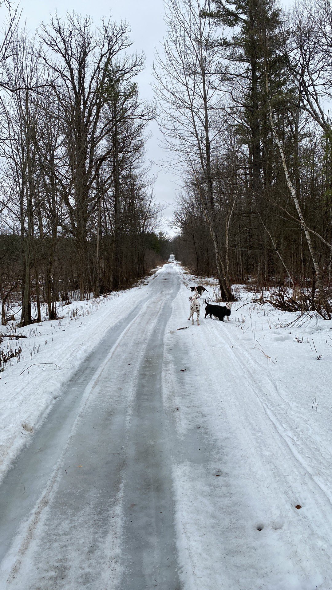 Walken - PUBLIC BETA is Live! on Twitter: ""Would you rather" with #walken_io When you decide to ...