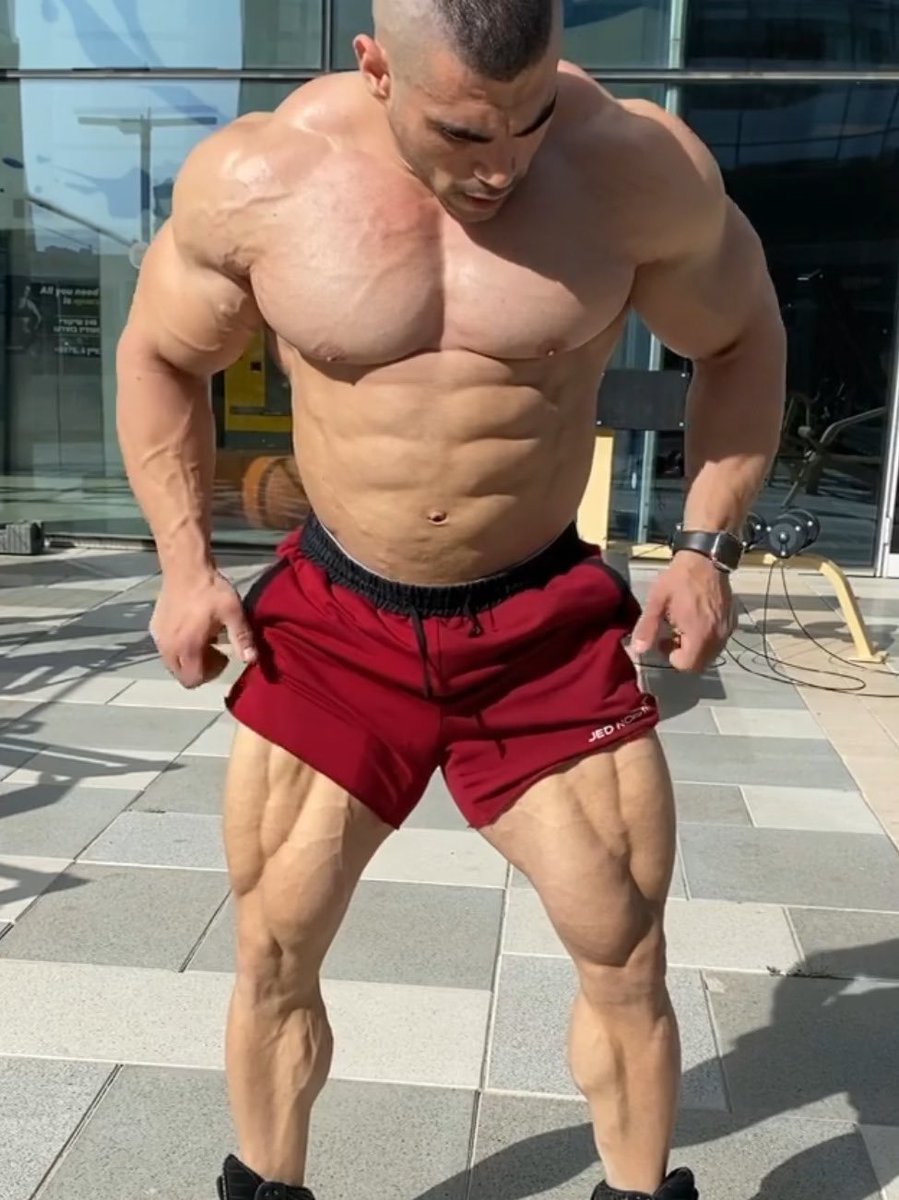 Graham Smith on Twitter: "Sahar Kazes"