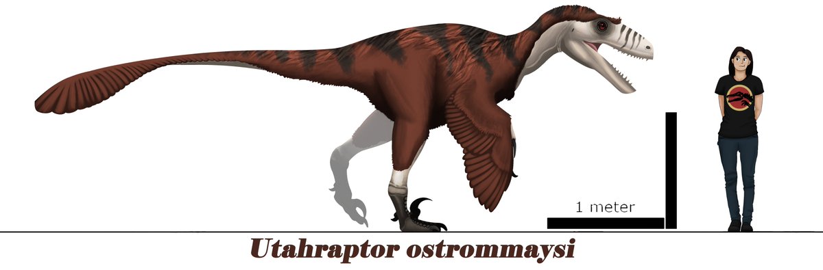 argesのTwitterイラスト検索結果。