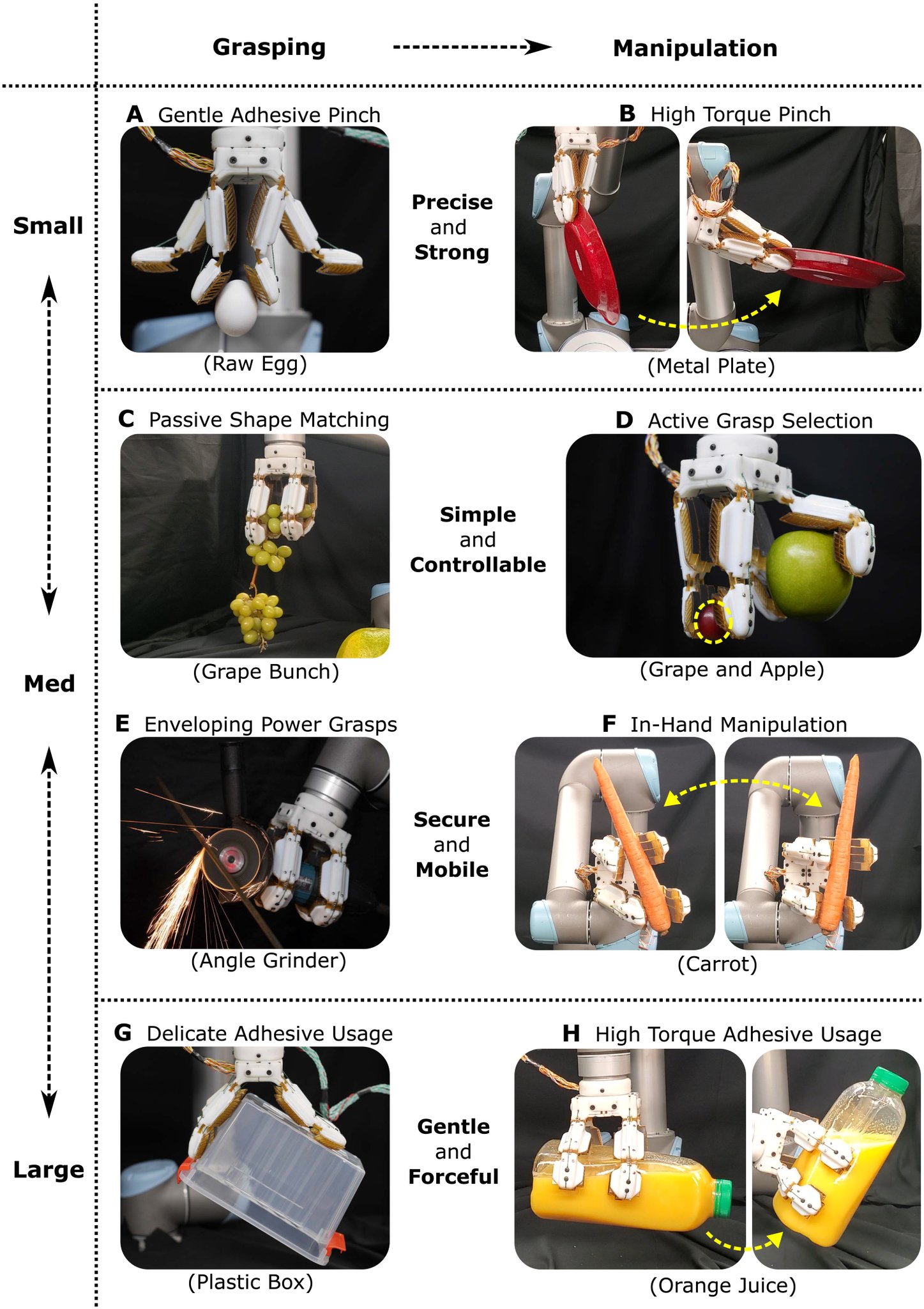Science Magazine on Twitter: "A @SciRobotics article from 2021 showed how a gecko-inspired ...