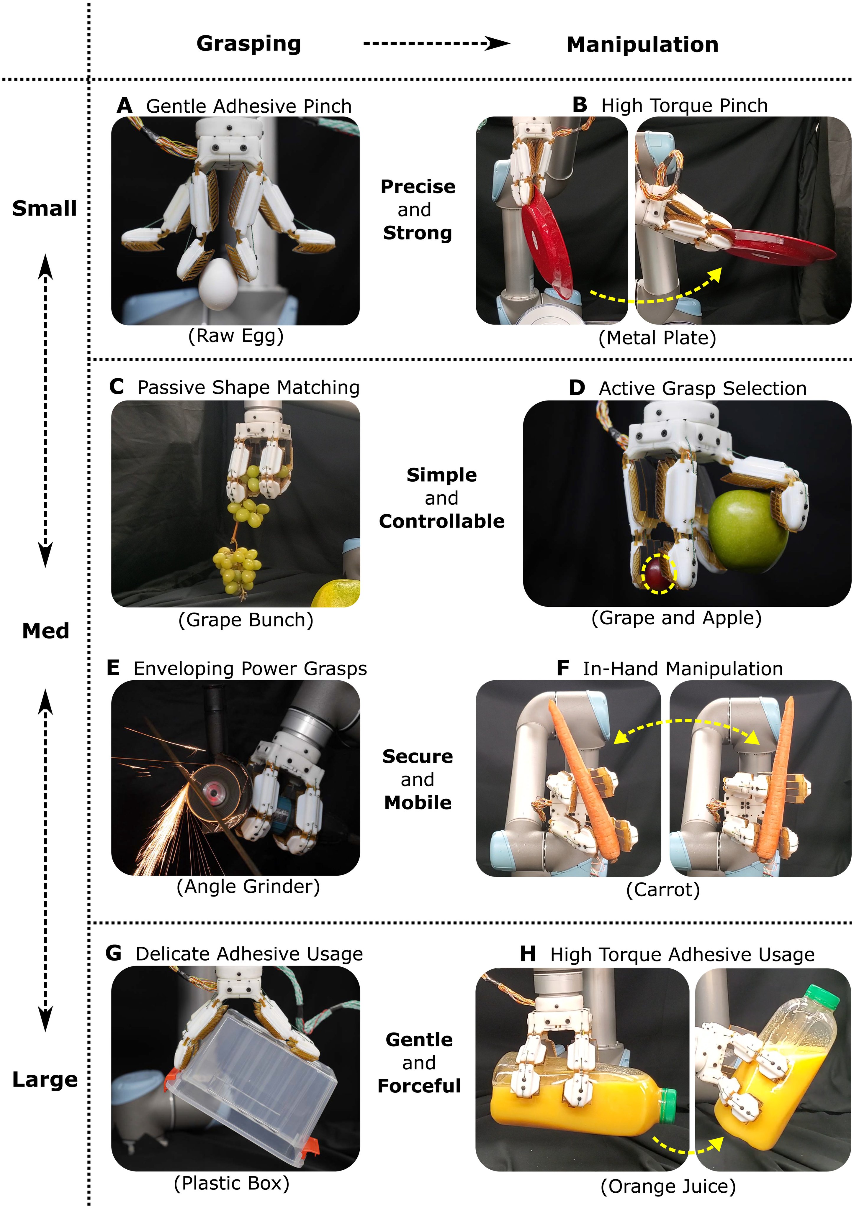 Science Magazine on Twitter: "A @SciRobotics article from 2021 showed how a gecko-inspired ...