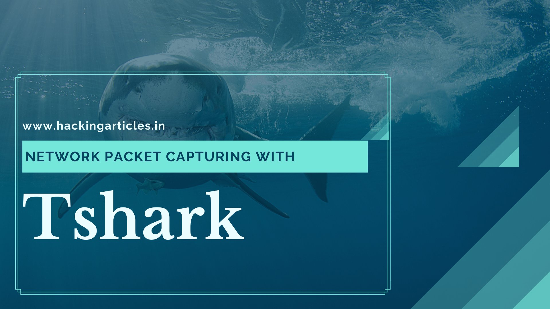 Hacking Articles on Twitter: "A Detailed Guide on tshark https://t.co/ewylYLssVV https://t.co ...