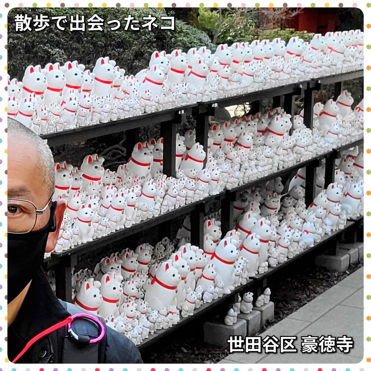 キタキツネ 🦊🆎♂️♎♨️🚭🍺(@kitakitune_007) - Twilog (ツイログ)