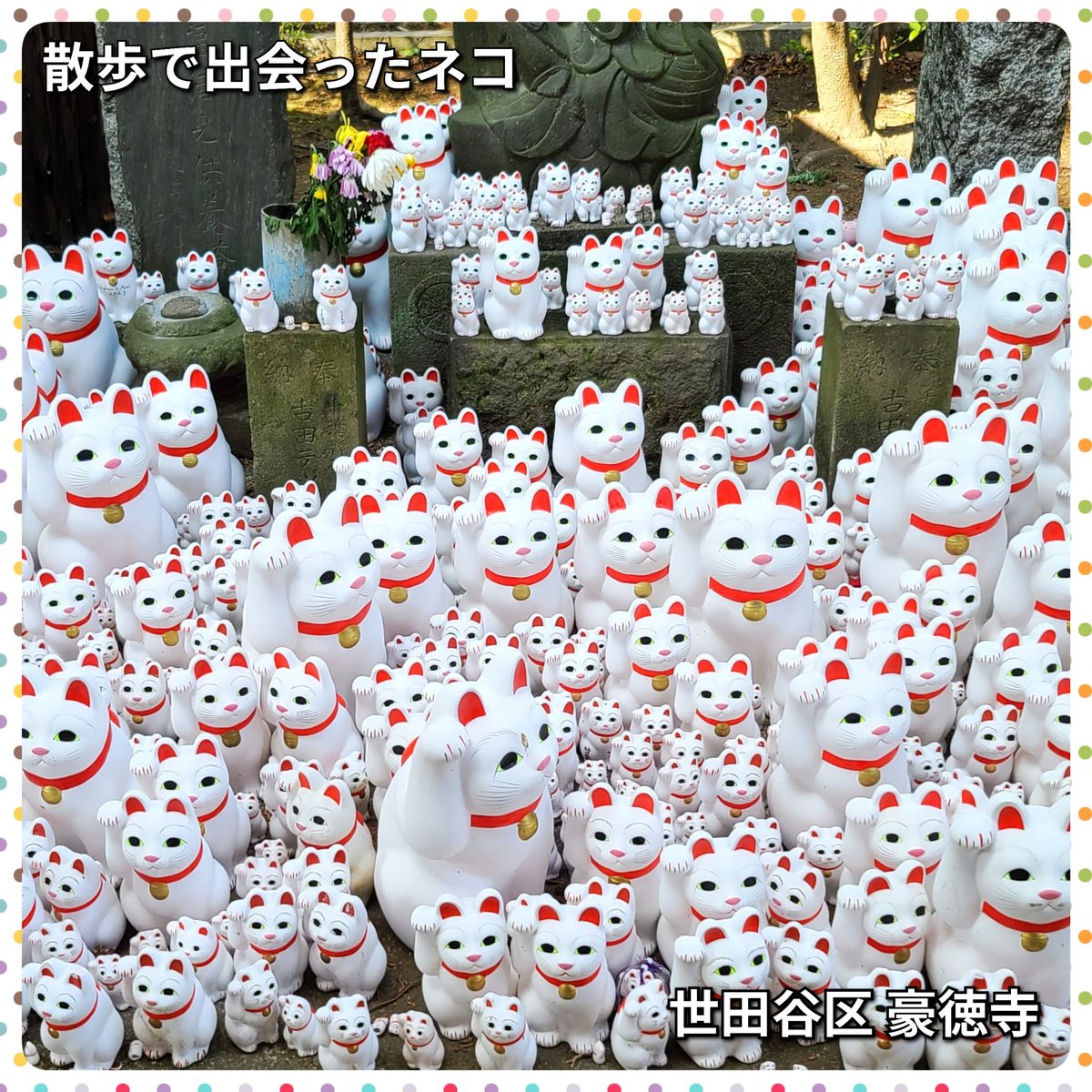 キタキツネ 🦊🆎♂️♎♨️🚭🍺(@kitakitune_007) - Twilog (ツイログ)