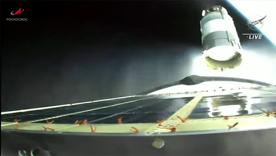 ruimtevaart on Twitter: "RT @cbs_spacenews: Progress MS-22/83P: 3rd stage engine shutdown, stage ...