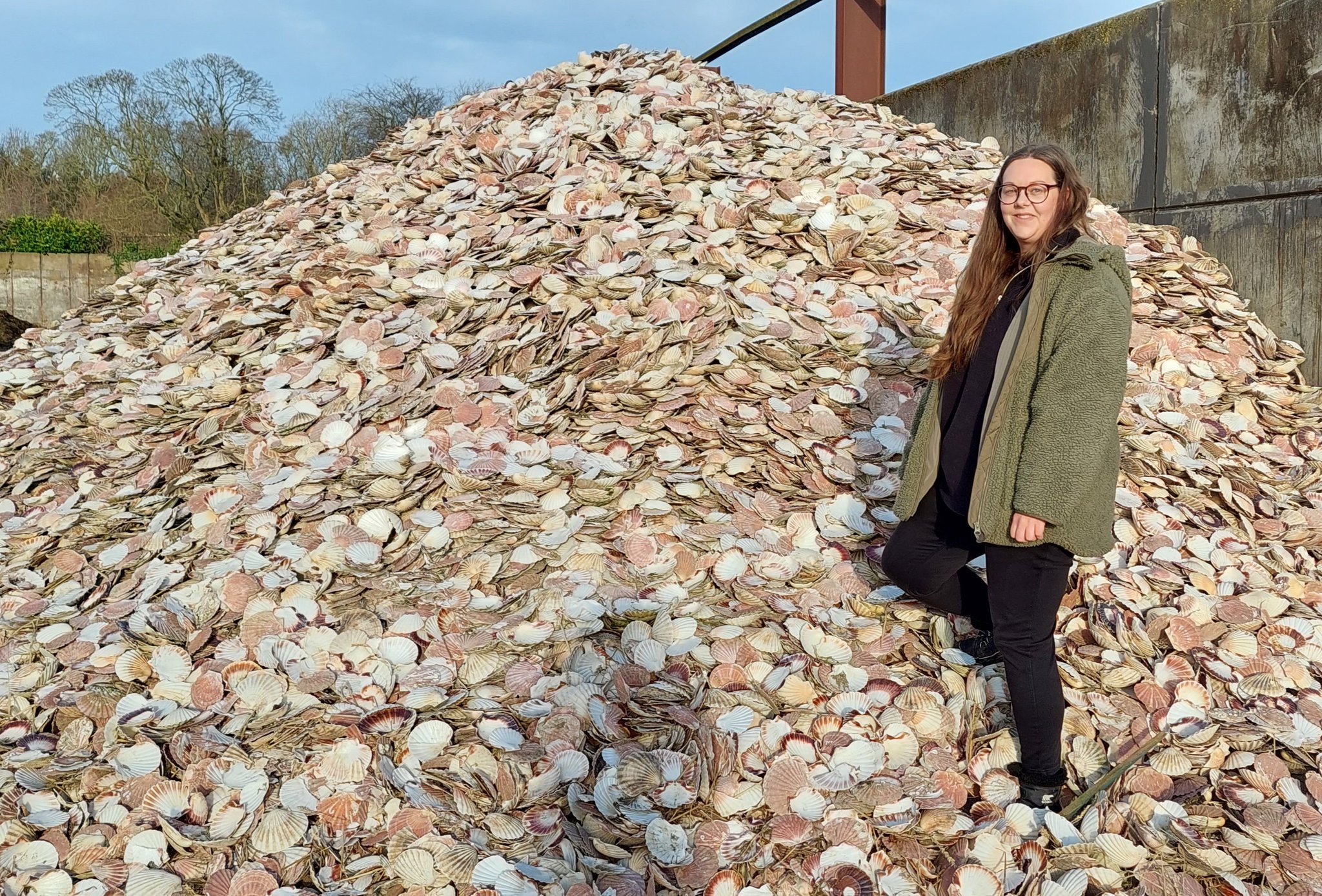 News – Wild Oysters project