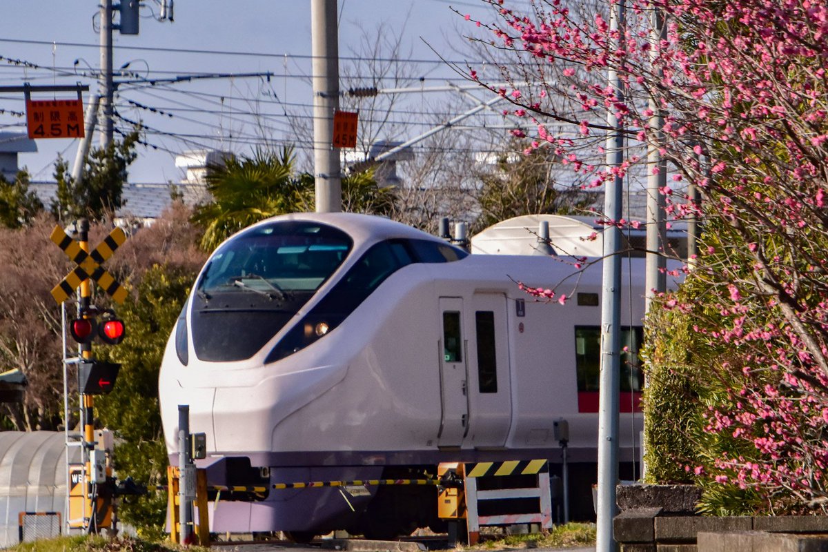 HEROMO🇺🇦(線路際蹲人・鉄模人) on Twitter: "梅と梅 2/9 #常磐線 #E657系 657の2色は白梅/紅梅ですので