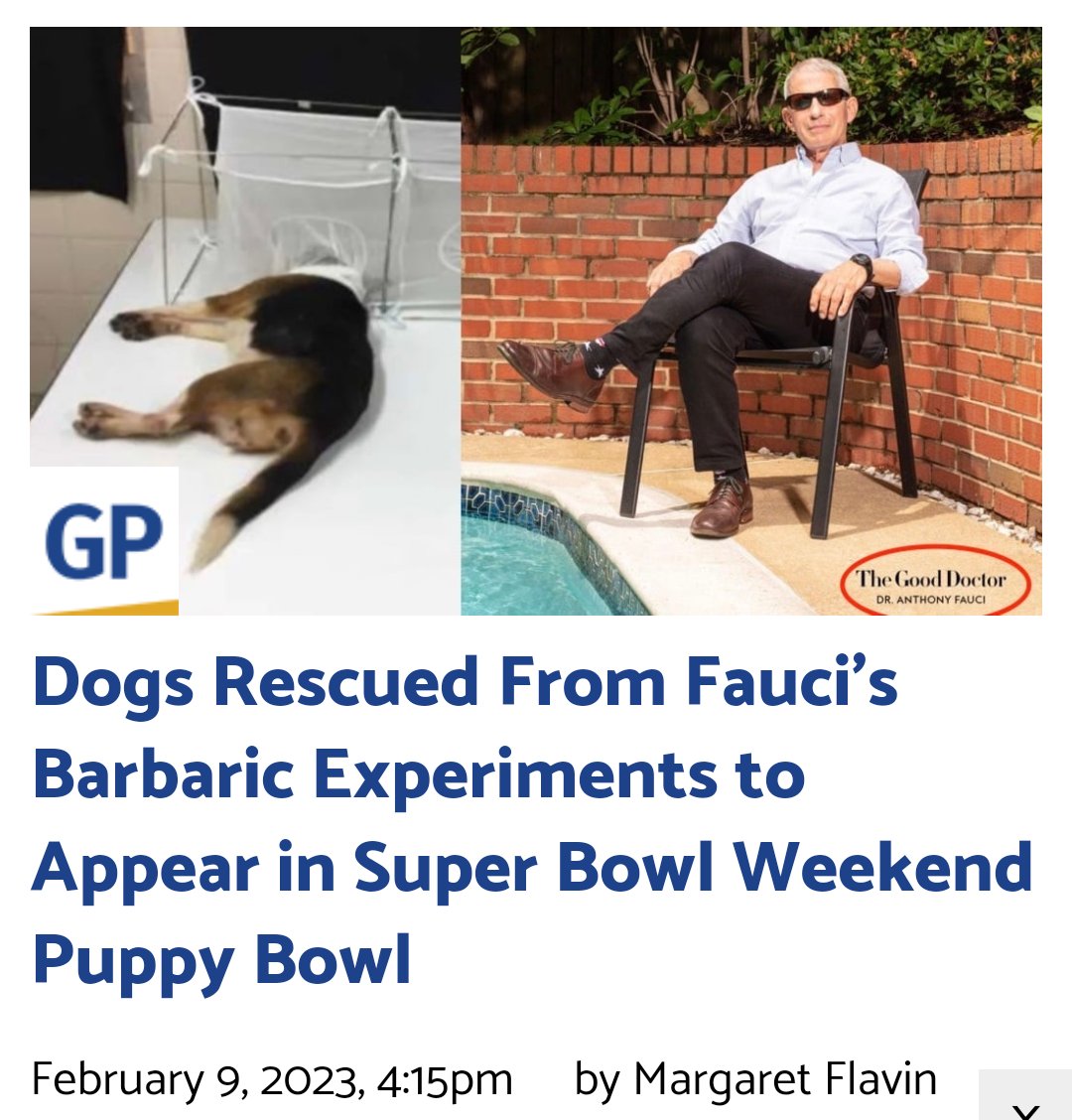 🇺🇸 Rich Howard 🇺🇸 on Twitter: "Documents shared with TGP uncovered a $375,800 grant sent to lab ...