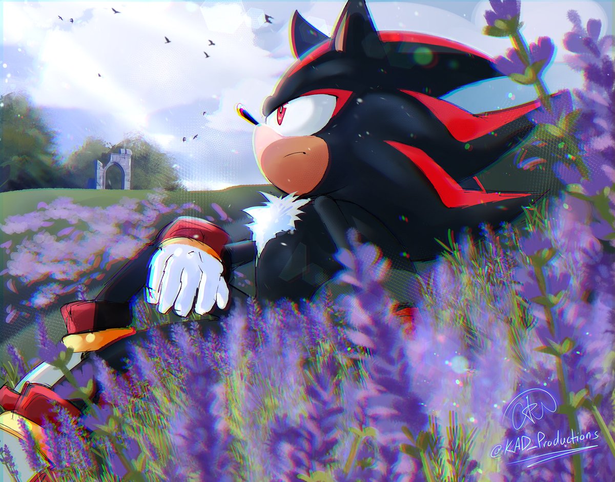 Izzythebananaqueen🍌👑 On Twitter Rt Kadproductions Heres Some Of My Shadow The Hedgehog