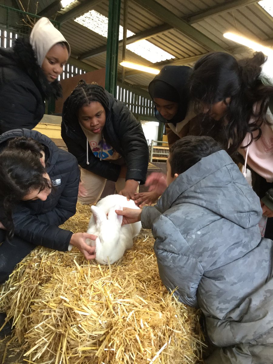 Springfield Primary School | Hackney, London