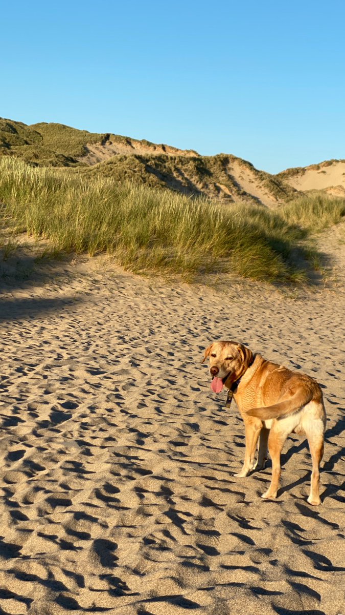 Ø ฿ Ɇ Ɽ ₮ on Twitter: "Loves the sand dunes"