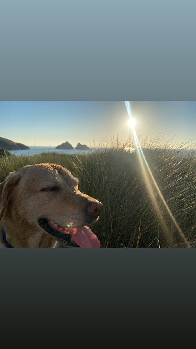 Ø ฿ Ɇ Ɽ ₮ on Twitter: "Loves the sand dunes"