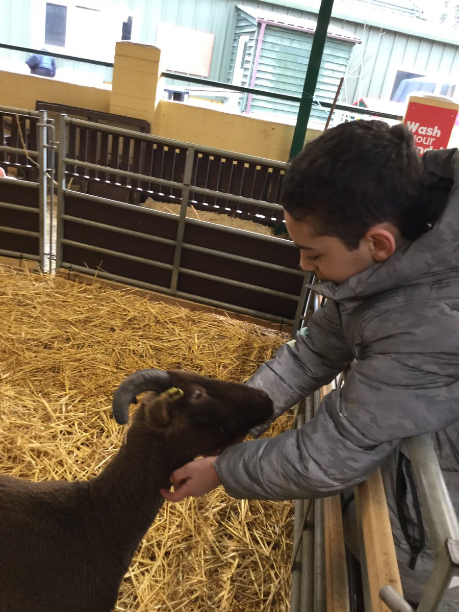 Springfield Primary School | Hackney, London