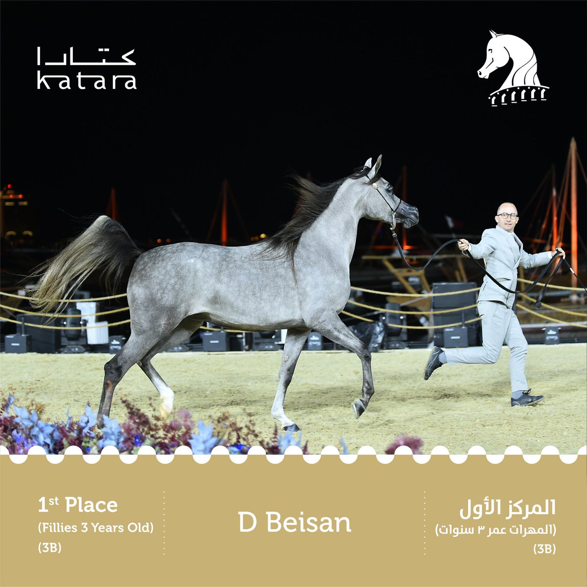 كتارا | Katara on Twitter: "D Beisan, owned by Al Shaqab Stud - Qatar, won the 1st place in the ...