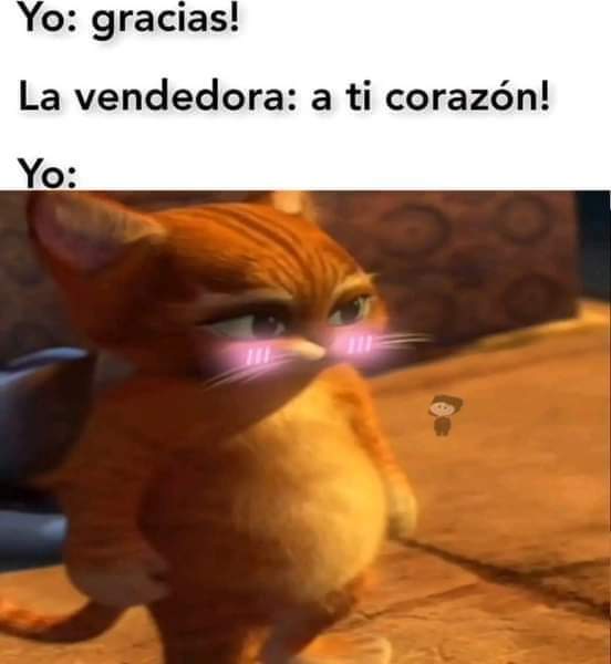 Jiji Cat Memes Kafadar_3lu KineMaster Templates