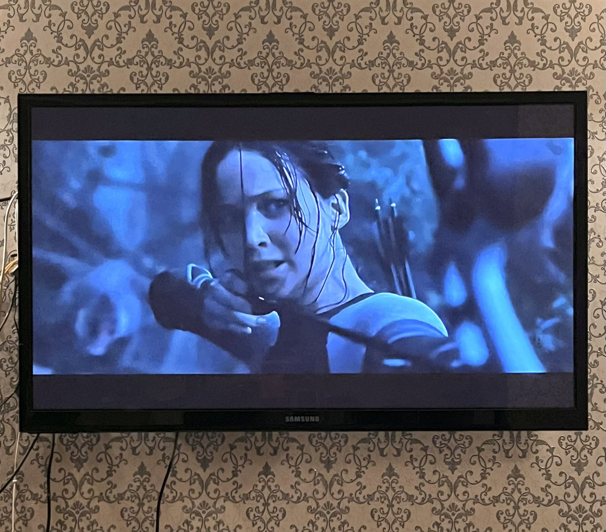 ВЗРОСЛЫЙ КОНТЕНТ On Twitter Показываю Pryanik N первые две части Голодных игр она их не