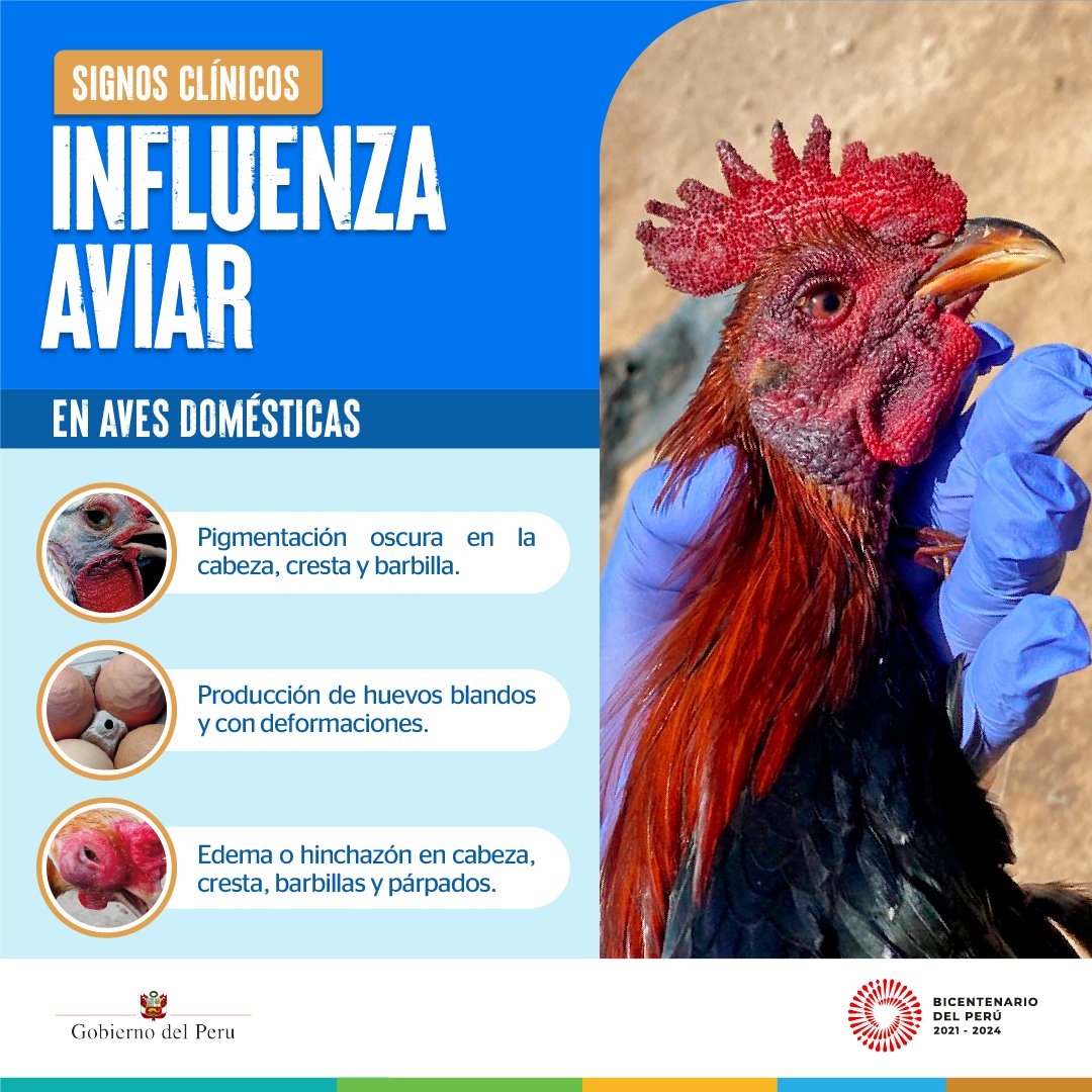 Senasa Perú on Twitter: Senasa Perú on Twitter: