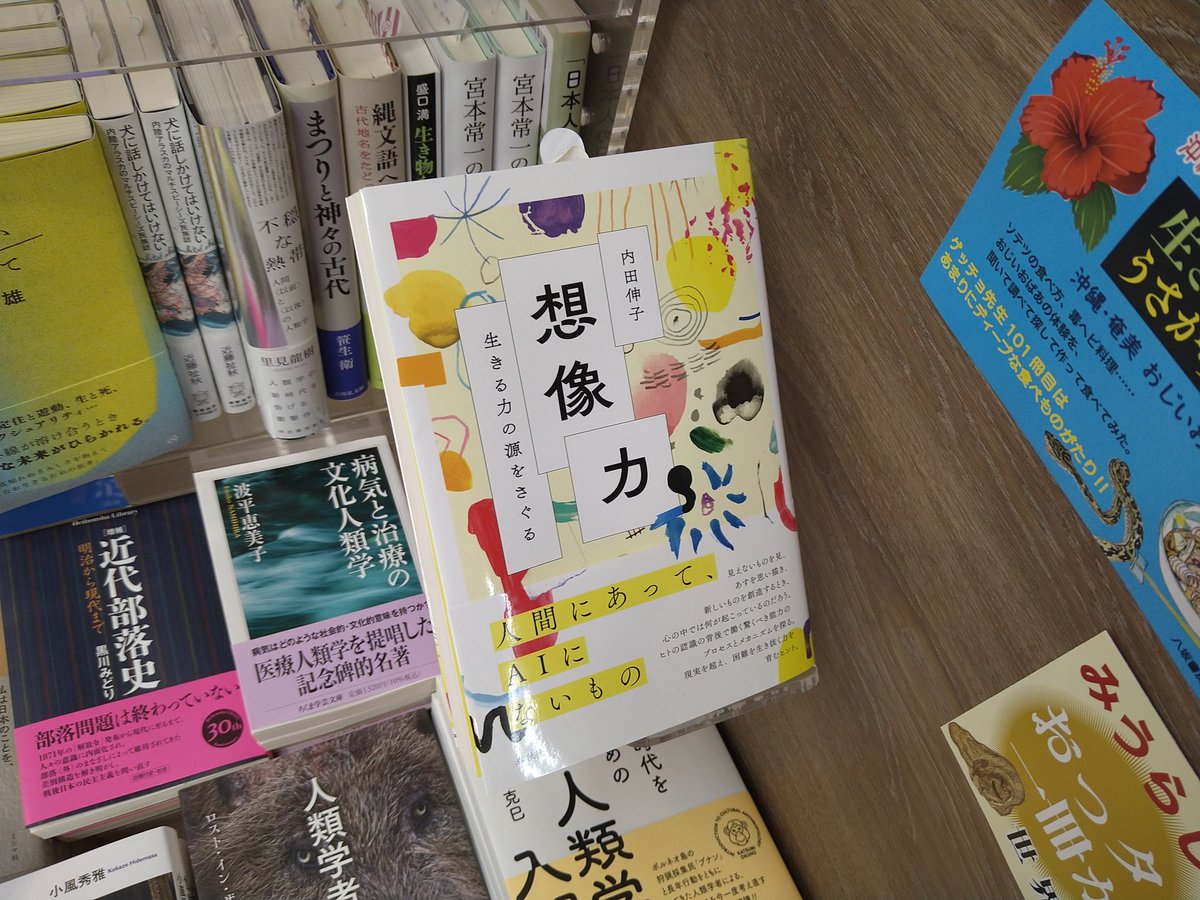 くまざわ書店武蔵小金井北口店 On Twitter 【新刊】『想像力 生きる力の源をさぐる』内田伸子春秋社見えないものを見、あすを思い描き、新しいものを創造するとき、心の中では何が