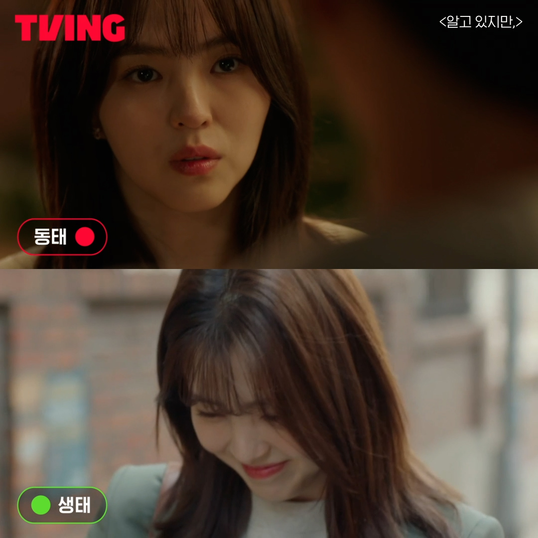 티빙(TVING) on Twitter: "평소엔 무미건조한 동태눈👀 사랑하는 사람에겐 꿀 떨어지는 생태눈🥰 #정경호 #유연석 #현빈 #한소희 #지금바로TVING #tving ...