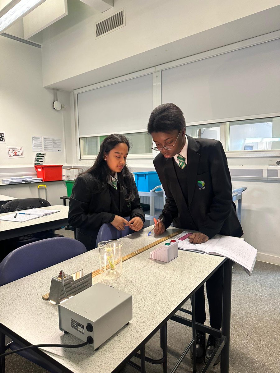 Forest Gate Community School on Twitter: "Our science stars of the term are Daniella and Sara ...