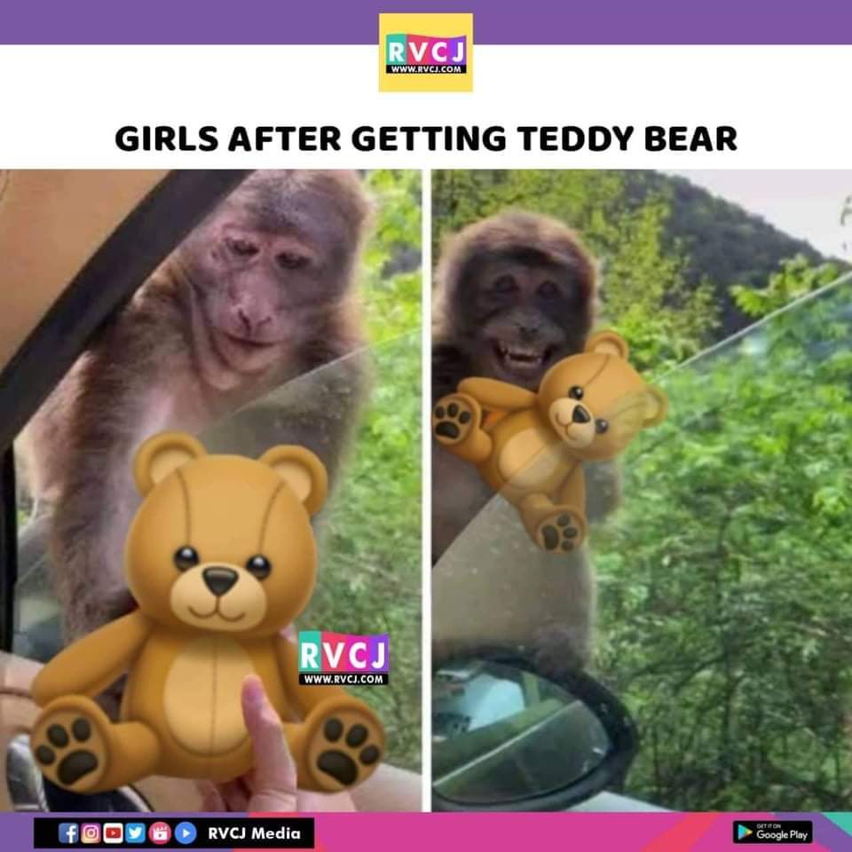 Teddy Day Memes Thread 🧵 - Thread from RVCJ Media @RVCJ_FB - Rattibha