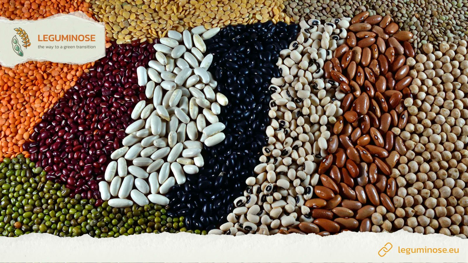 Leguminose Project (@Leguminose_EU) / Twitter