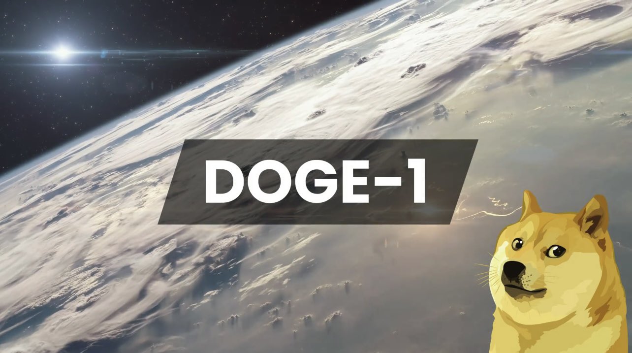 Doge Universe