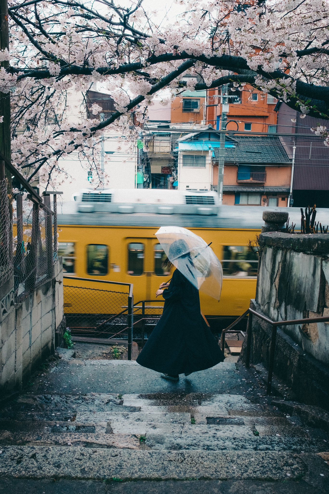 낙아 (@Nak_A_study) / Twitter