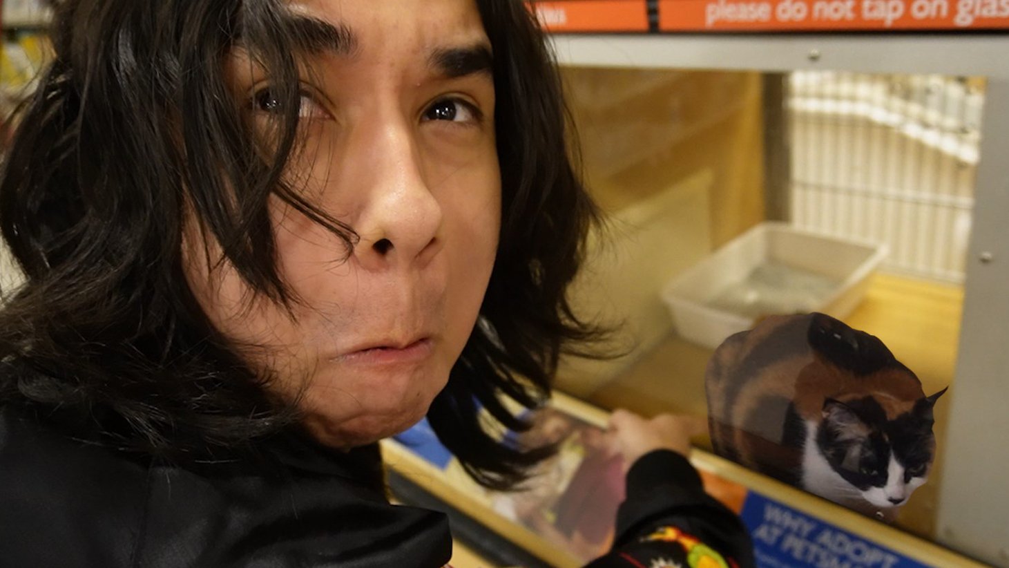 SOFTWILLY on Twitter: "⚠️NEW VLOG⚠️ should we get a cat https://t.co/uewoAgTg06" / Twitter