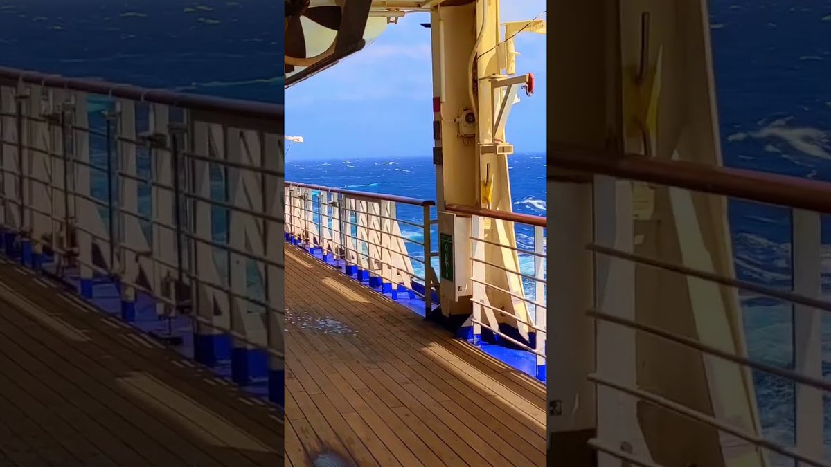 Alo Japan On Twitter 🚢 Onboard Pandos 🛳️ Pacific Explorer