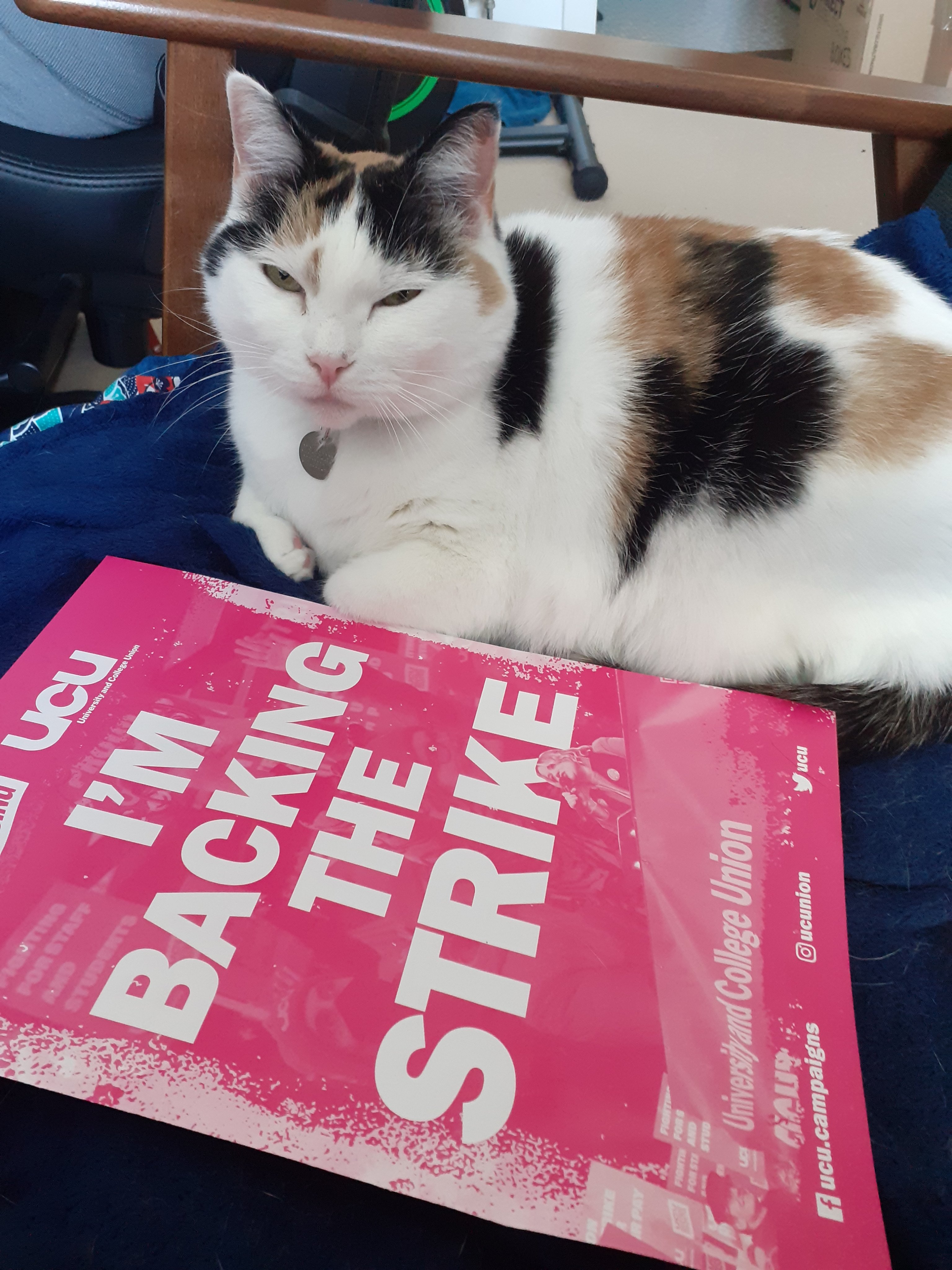 UCU on Twitter: UCU on Twitter: