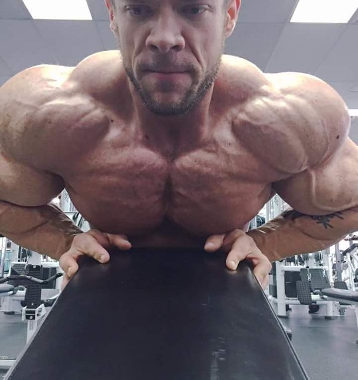 Do You Need Big Shoulders For Big Arms at Elizabeth Burrows blog