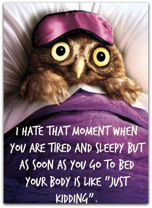 Insomnia Funny Meme