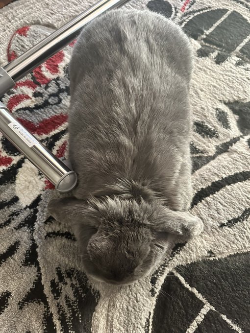 TW Pornstars - Ruby. Fotos y vídeos de Twitter.