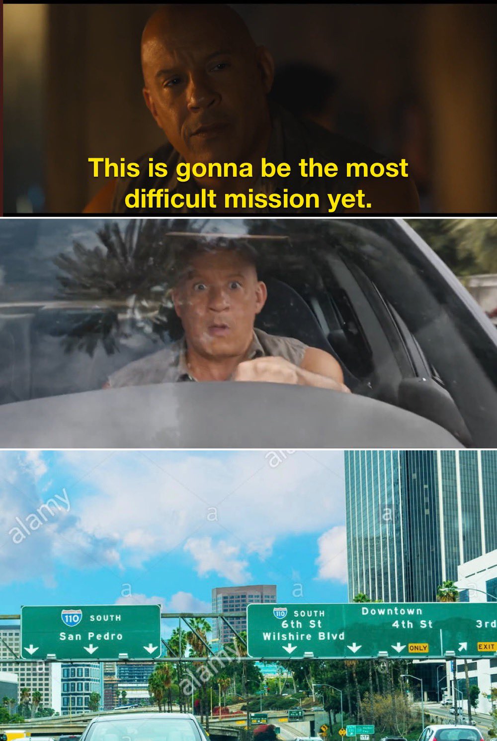 Real Fast Memes From Cloying To Clawminal Cat Memes To Remind You That