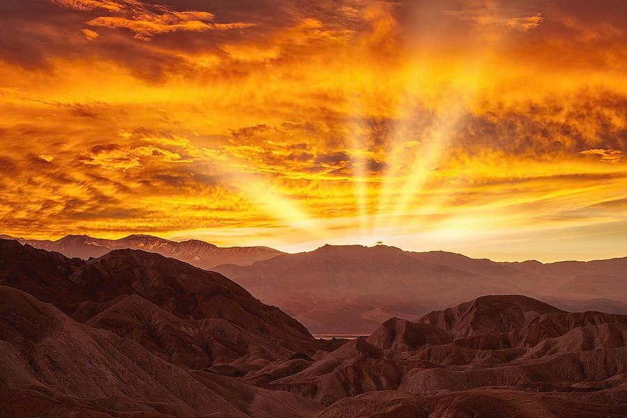 Art for the Eyes! https://t.co/3Vzt1RHEYu #photography #photograph # ...