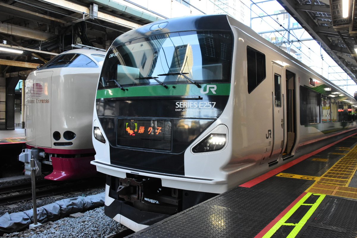 こだま@100thMAZDA6 on Twitter: "RT @odphotographer: 2023/02/11 8051M『特急 踊り子51号』@東京。 (E257系5000番台 オオ ...