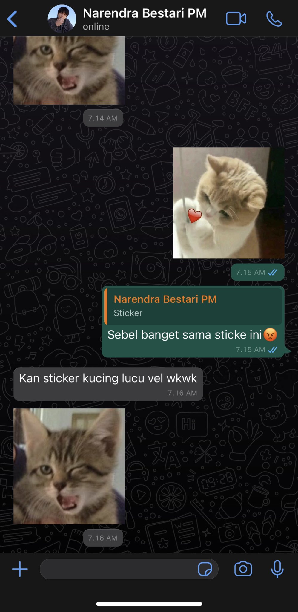 Beb🌼 on Twitter: "93. Jadi perang meme kucing. https://t.co/Fnf0Q5xllr" / Twitter
