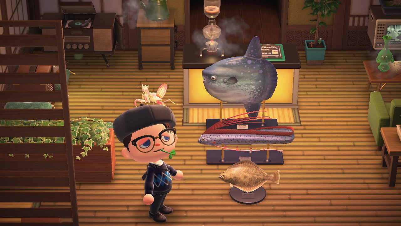 Ocean Sunfish Animal Crossing