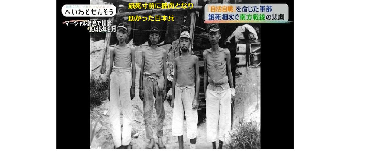 🥸アタオカッターshinya On Twitter Rt Djr61a2bms4aop0 兵隊を餓死させておいて、英霊とはふざけるな! 所謂「名誉の戦死」とは程遠く、日本軍の戦死者の6