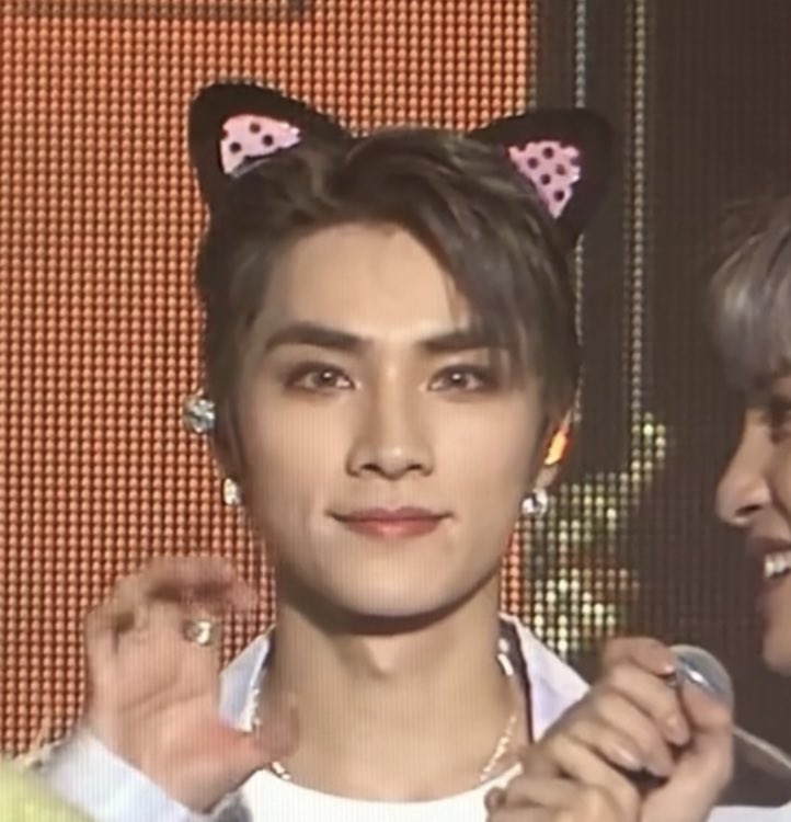 On Twitter come Come Kitty Kitty You re So Pretty Pretty on-twitter-come-come-kitty-kitty-you-re-so-pretty-pretty