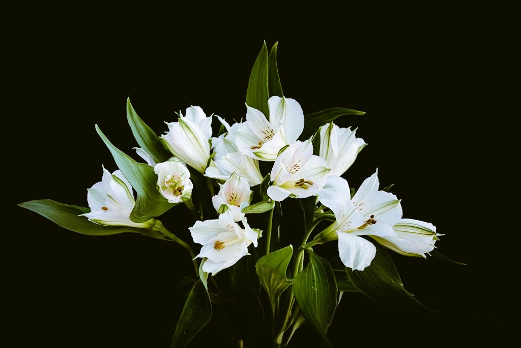 Olya on Twitter: "Good evening my friends