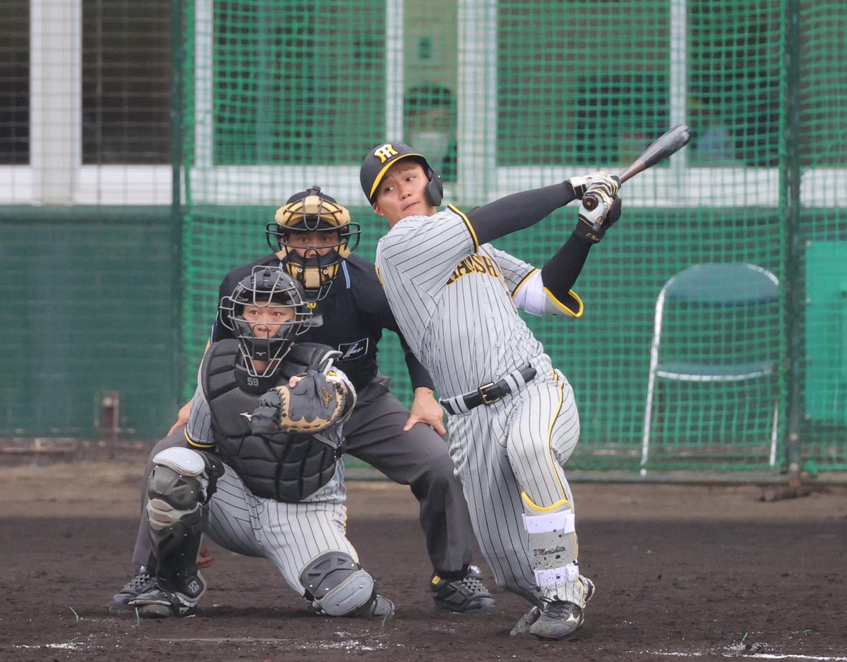 チーム山本泰寛 on Twitter: "RT @hochi_oskphoto: #森下翔太 #阪神タイガース #阪神タイガース紅白戦 宜野座での紅白戦に出場した森下翔太選手"