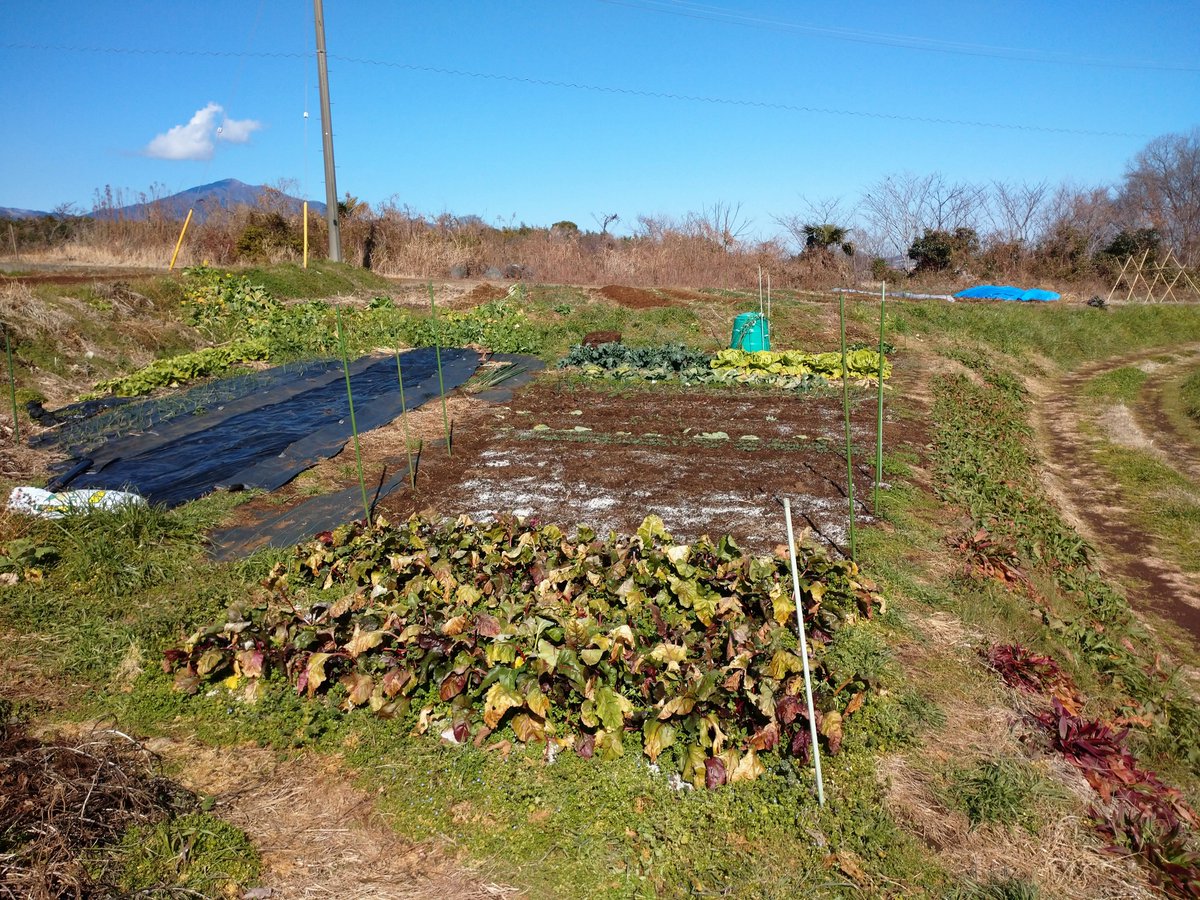 出納雅人(Masato Denoh）(@mst_denou) - Twilog