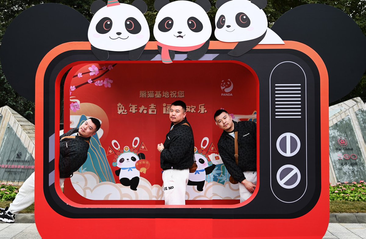 kun on Twitter: "🐼快到碗里来"