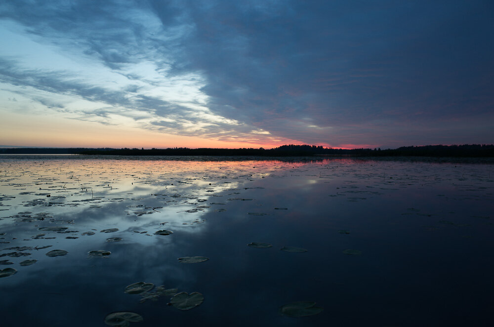 Nilofar Hossain on Twitter: "“I am inhabited by a cry. Nightly it flaps out Looking, with its ...
