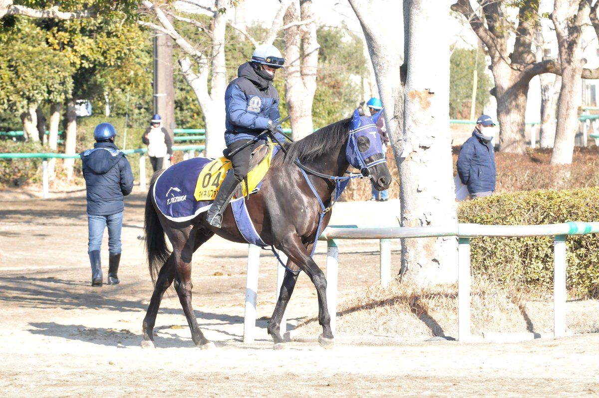 和田稔夫 Toshio Wada 🏇 週刊gallop・サンスポ・夕刊フジ On Twitter 京都記念@美浦馬 マイネルファンロン